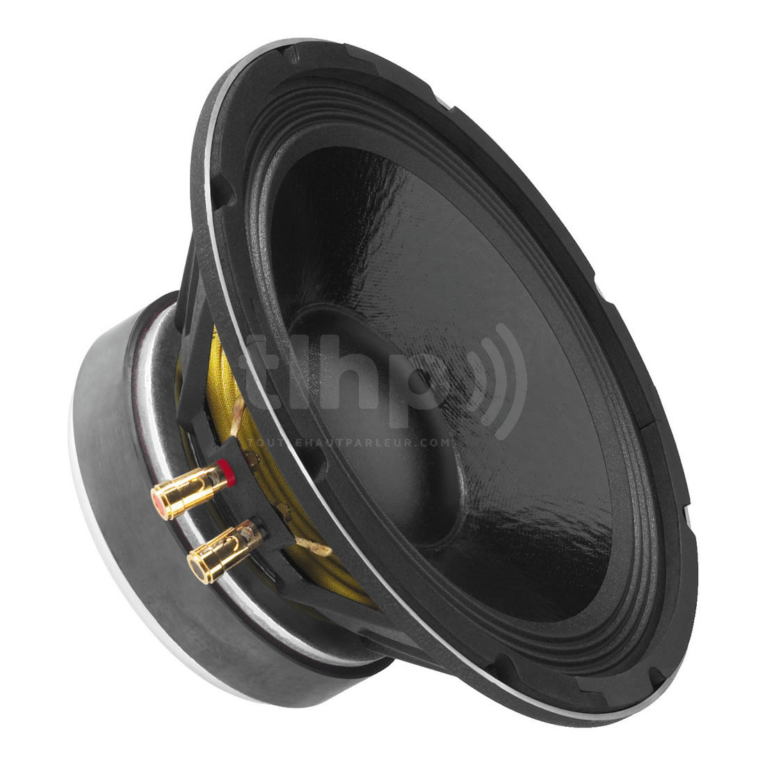 Haut-parleur Monacor SP-10A/302PA, 8 ohm, 260 mm