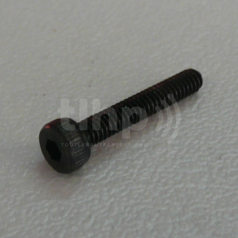 Vis M2, longueur 12 mm, tête CHC, acier brute